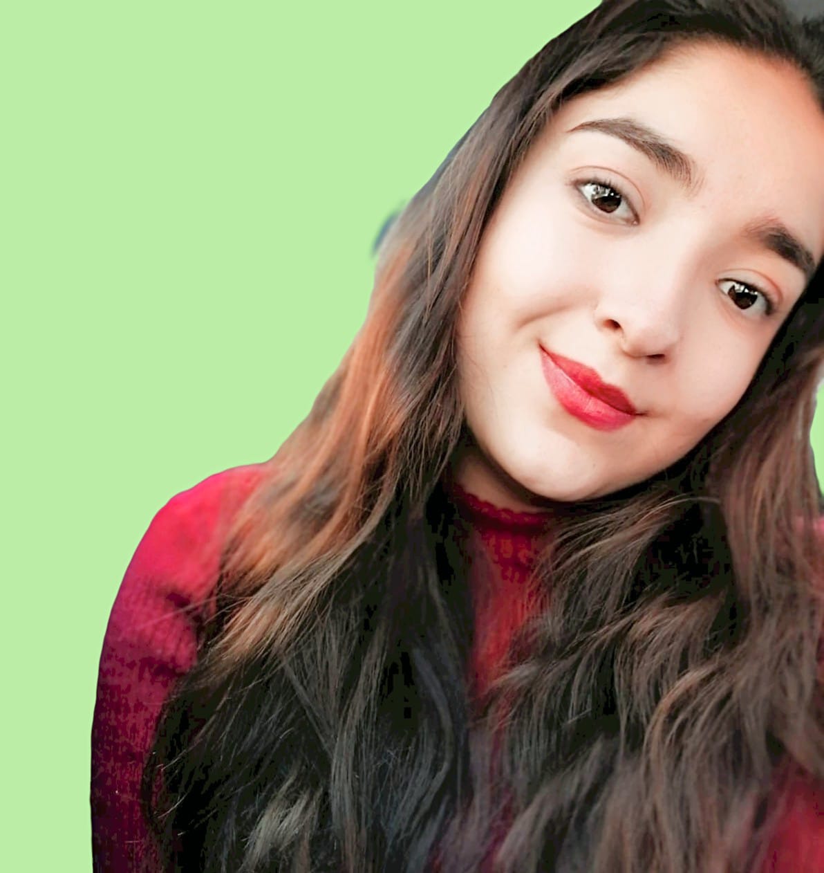 Lisset Neri | Desarrollo Web Front-End